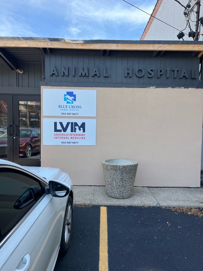 Business Identifcation Signs for East Downtown Vet