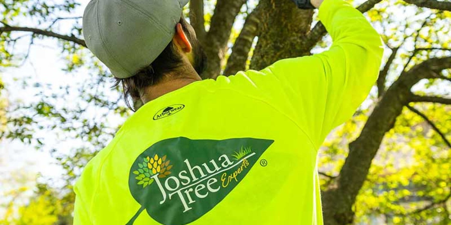 Joshua Tree Experts Partners with Franchise FastLane for Growth ...