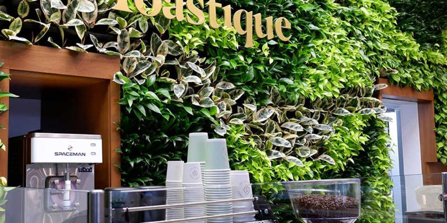 Toastique: Gourmet Toast Haven Heads to Laredo, Texas in Spring 2025 ...