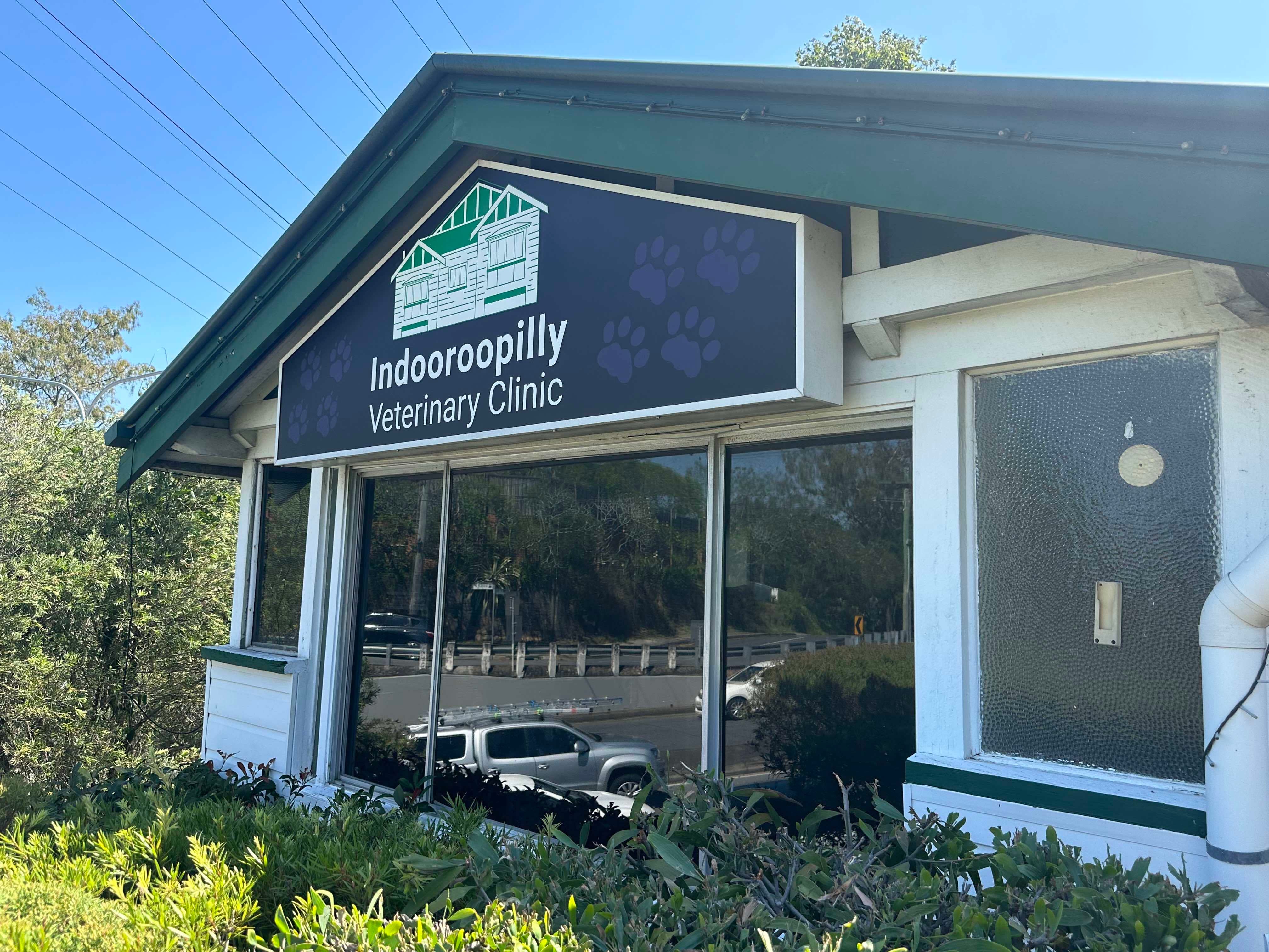 Revitalising Local Businesses with New Lightbox Signs Highlighting ...