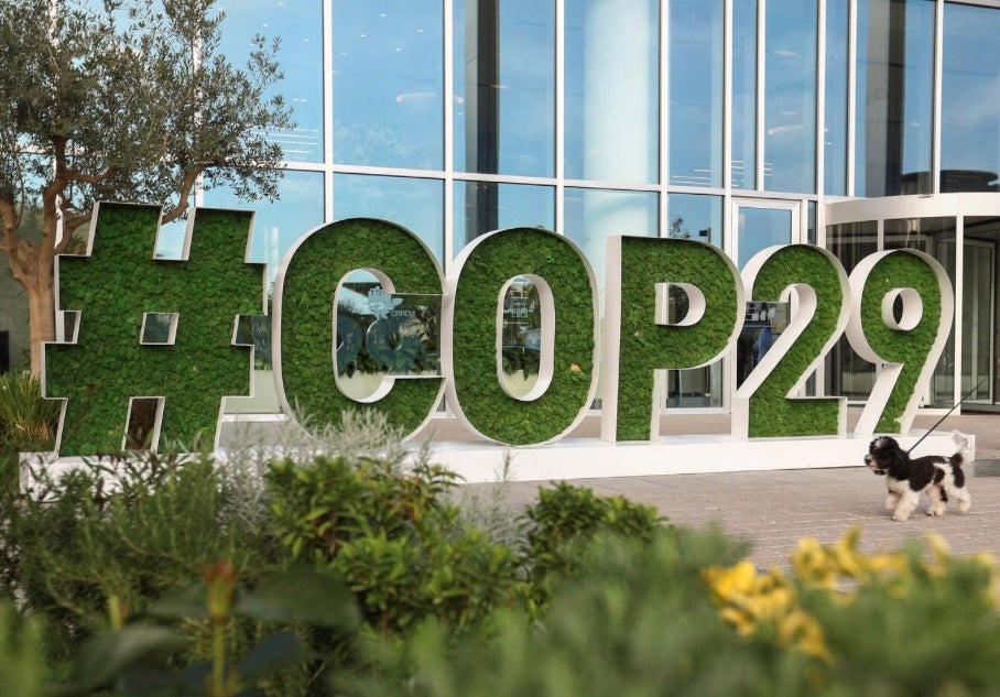 Logo végétal COP 29