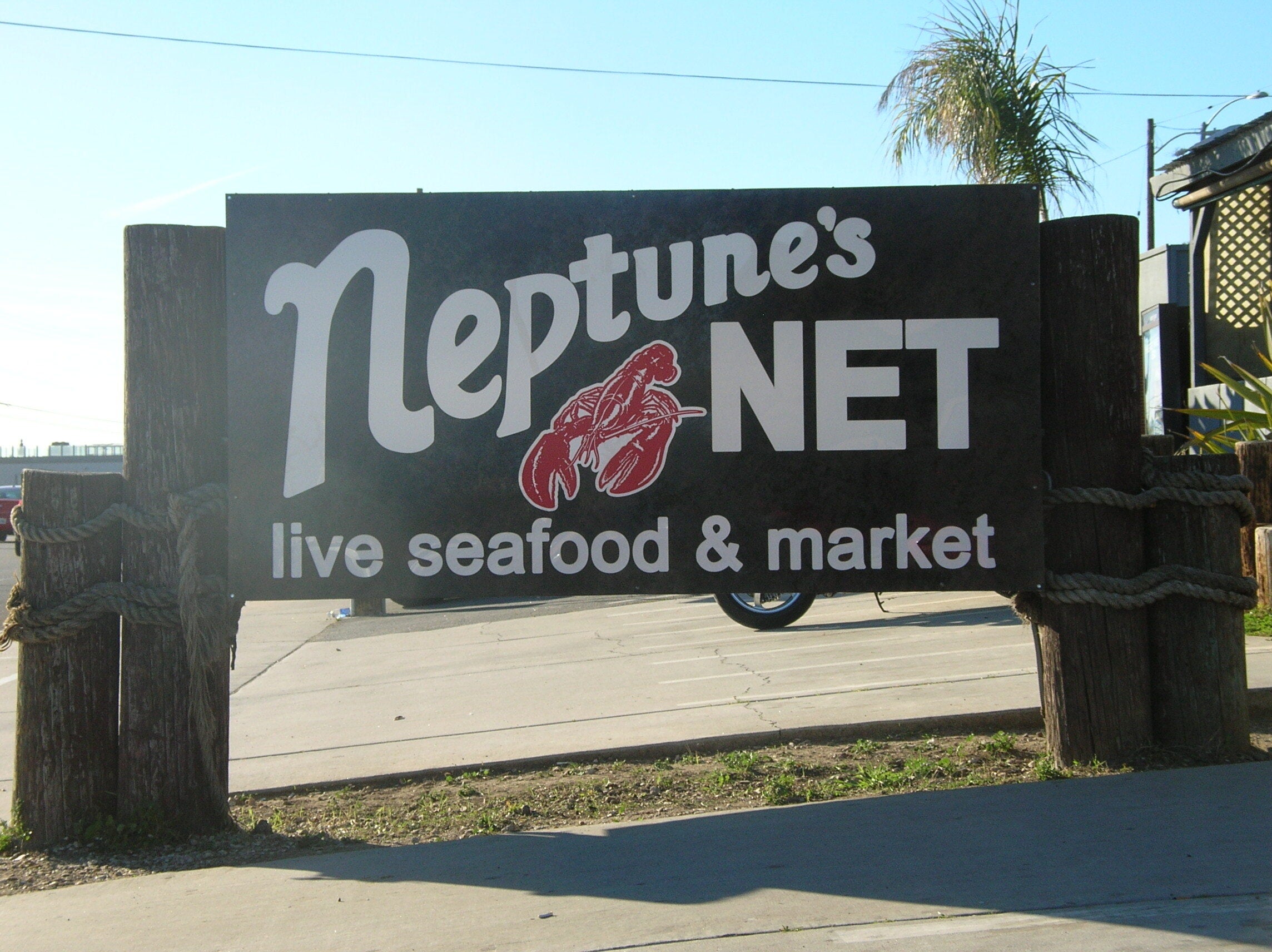 How to Choose the Best Weatherproof Outdoor Sign Materials for Extreme ...