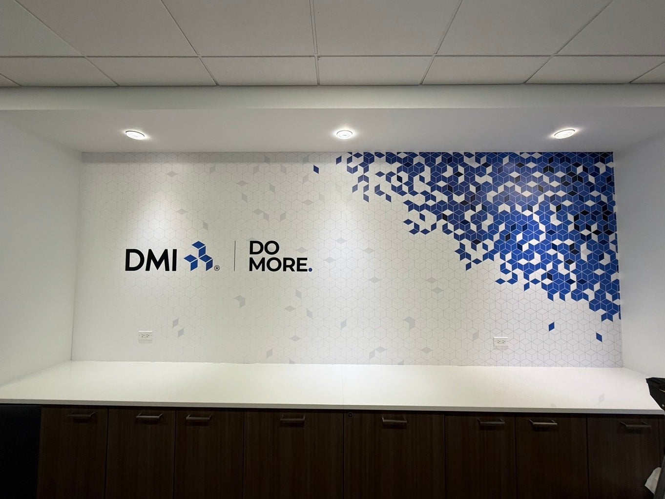 Custom Wall Murals and Office Graphics for DMI in Tysons, VA