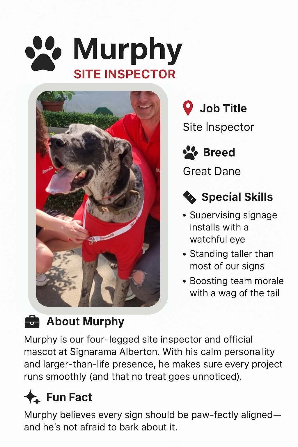 Meet Murphy – Our New Site Inspector