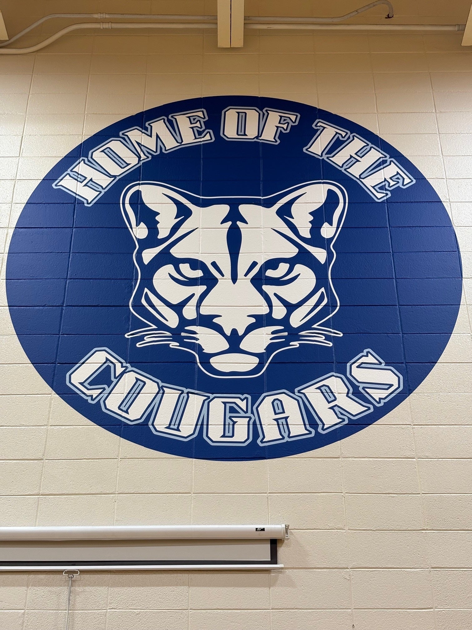 School Mascot Wall Mural