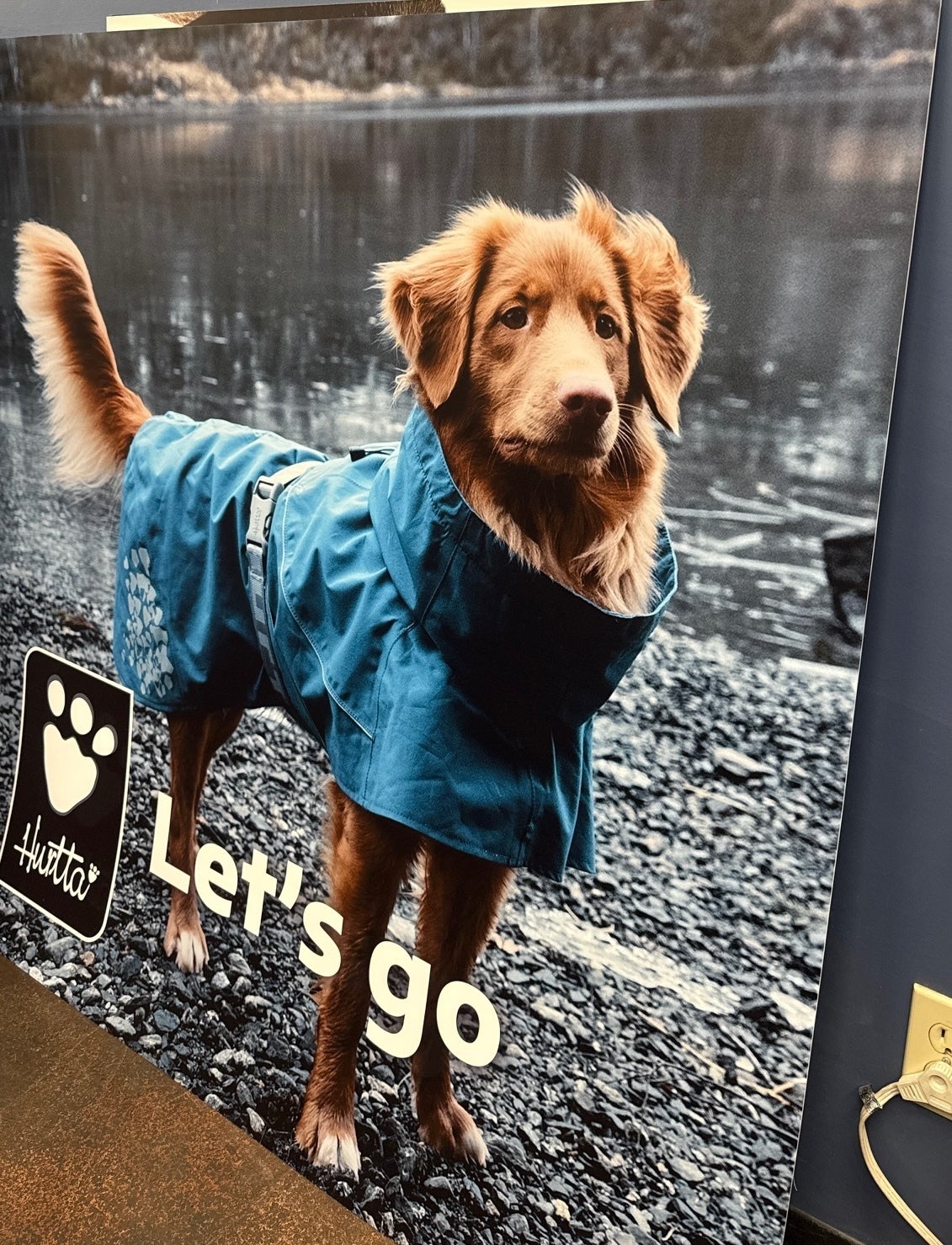 Styrene Print for Homes Alive Pets in Edmonton, AB