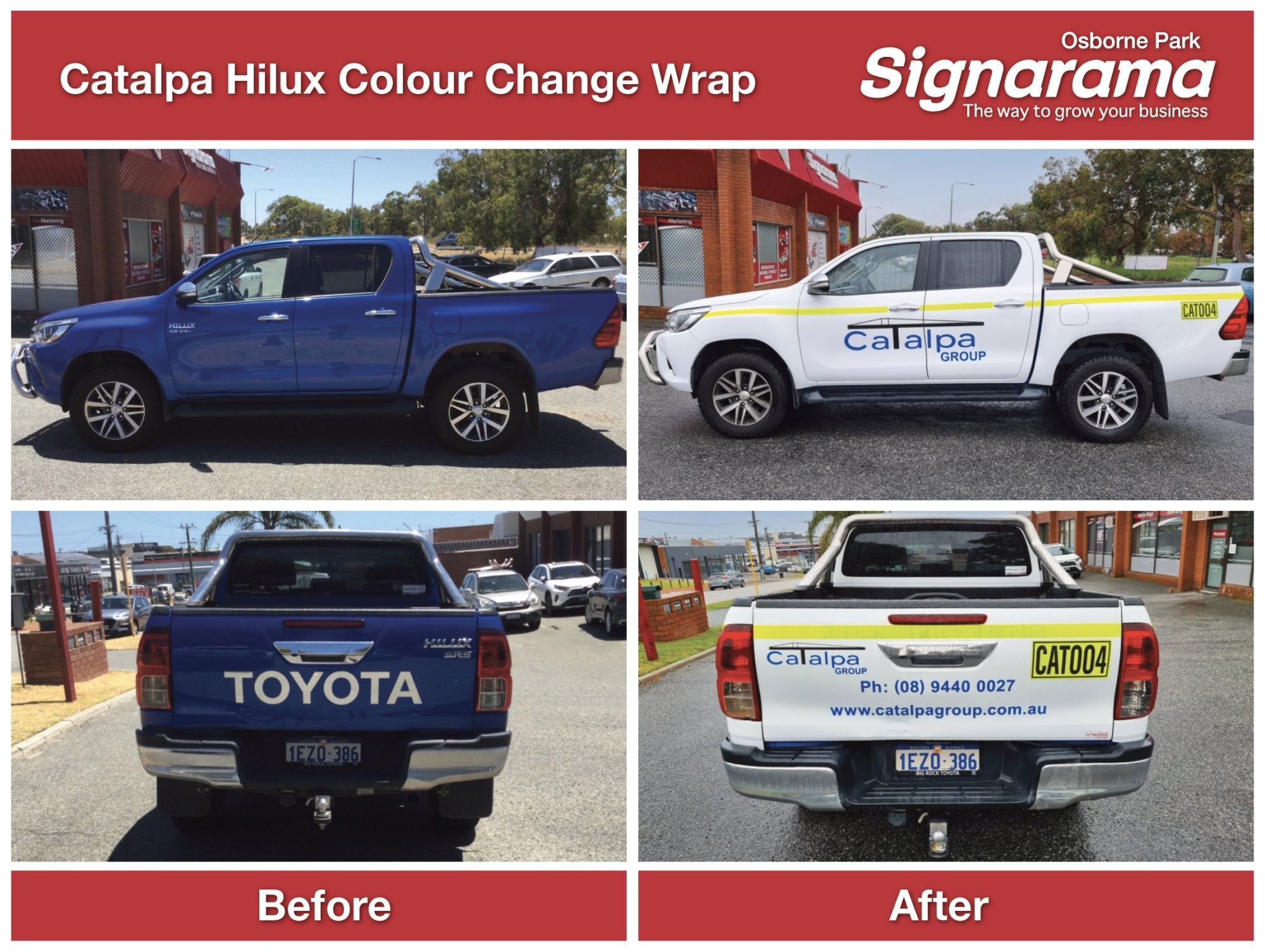 Catalpa Colour Change Wrap